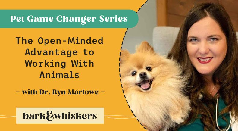 The Open-Minded Advantage to Working With Animals