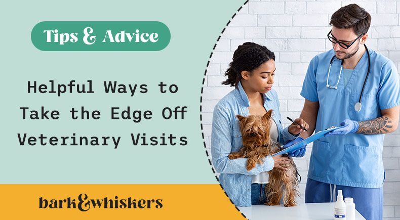 Helpful Ways for Easing Stress during Veterinary Visits for Dogs
