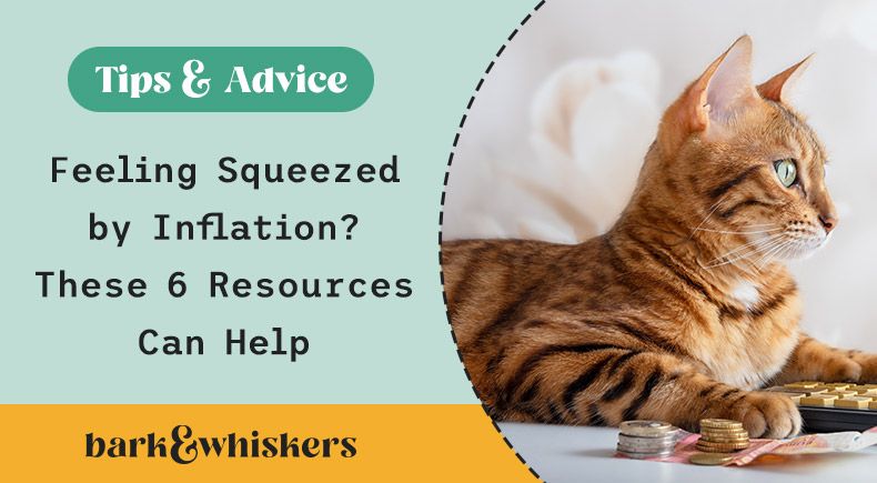 Pet Parents Managing Inflation