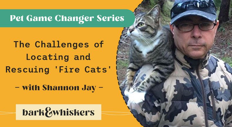 The Challenges of Locating and Rescuing 'Fire Cats'