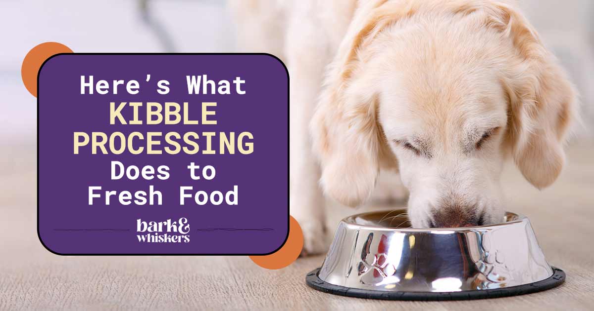 Here's What Kibble Processing Does to Fresh Food