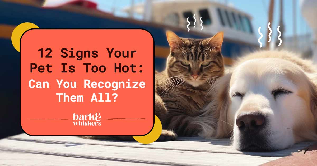 12 Signs Your Pet Is Too Hot: Can You Recognize Them All?