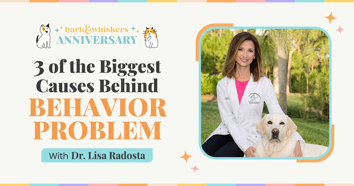 3 of the Biggest Causes Behind Your Pet's Behavior Problems