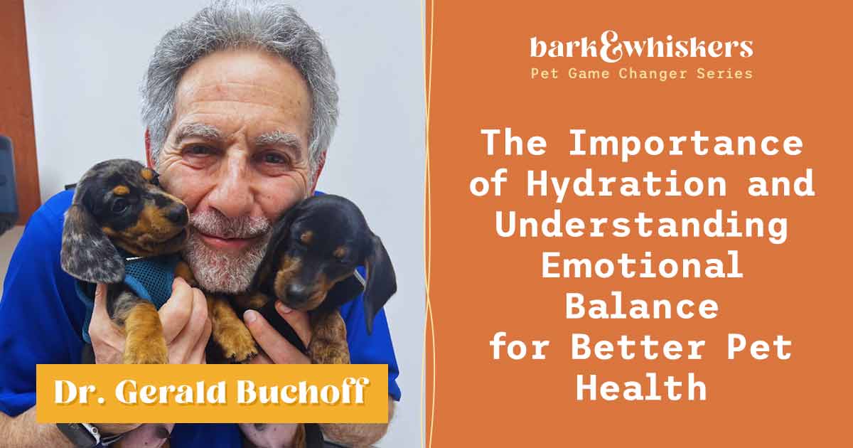 Keeping Your Pets Hydrated Can Radically Change Their Health