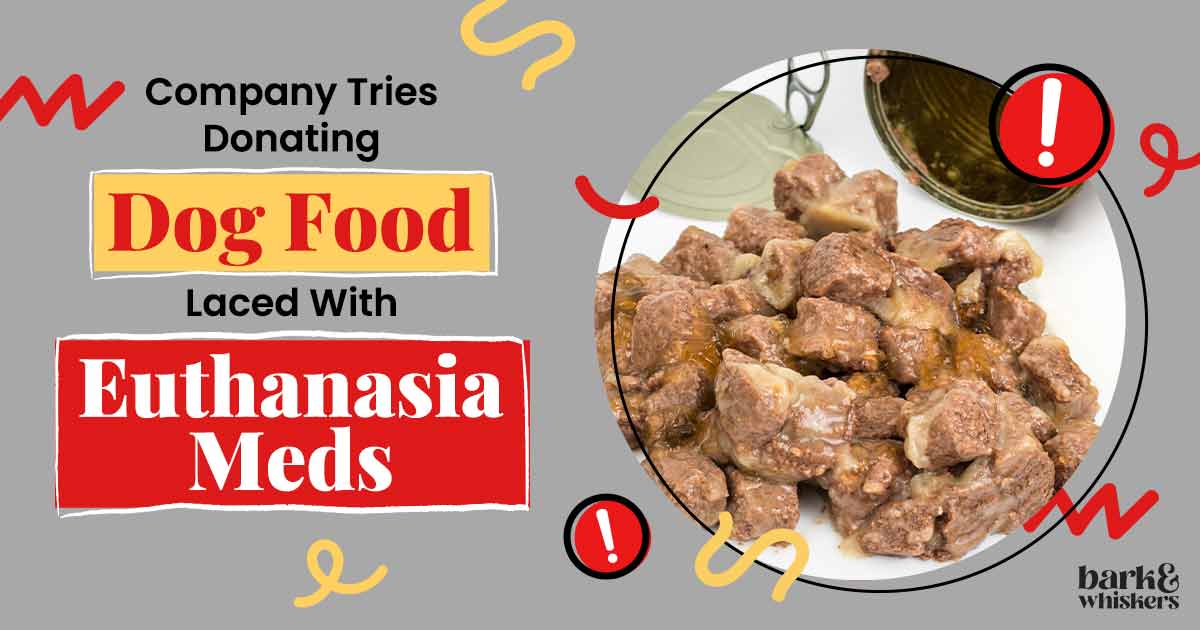 Company Tries Donating Dog Food Laced With Euthanasia Meds