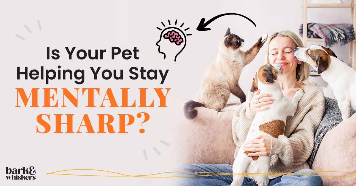 Is Your Pet Helping You Stay Mentally Sharp?