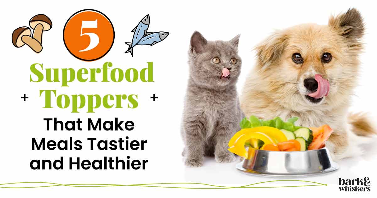 5 Pet Superfood Toppers That Make Meals Tastier and Healthier
