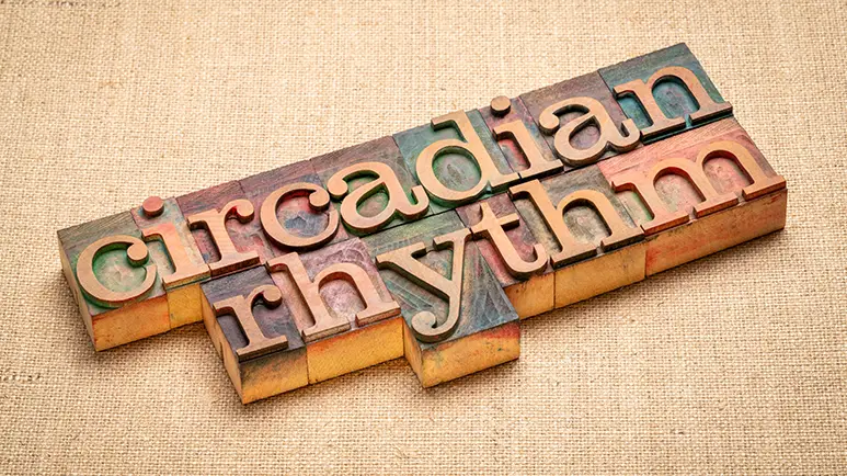 7 Circadian Rhythms of the Animal Kingdom