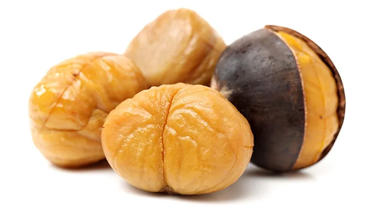 Are Chestnuts Good for Pets?