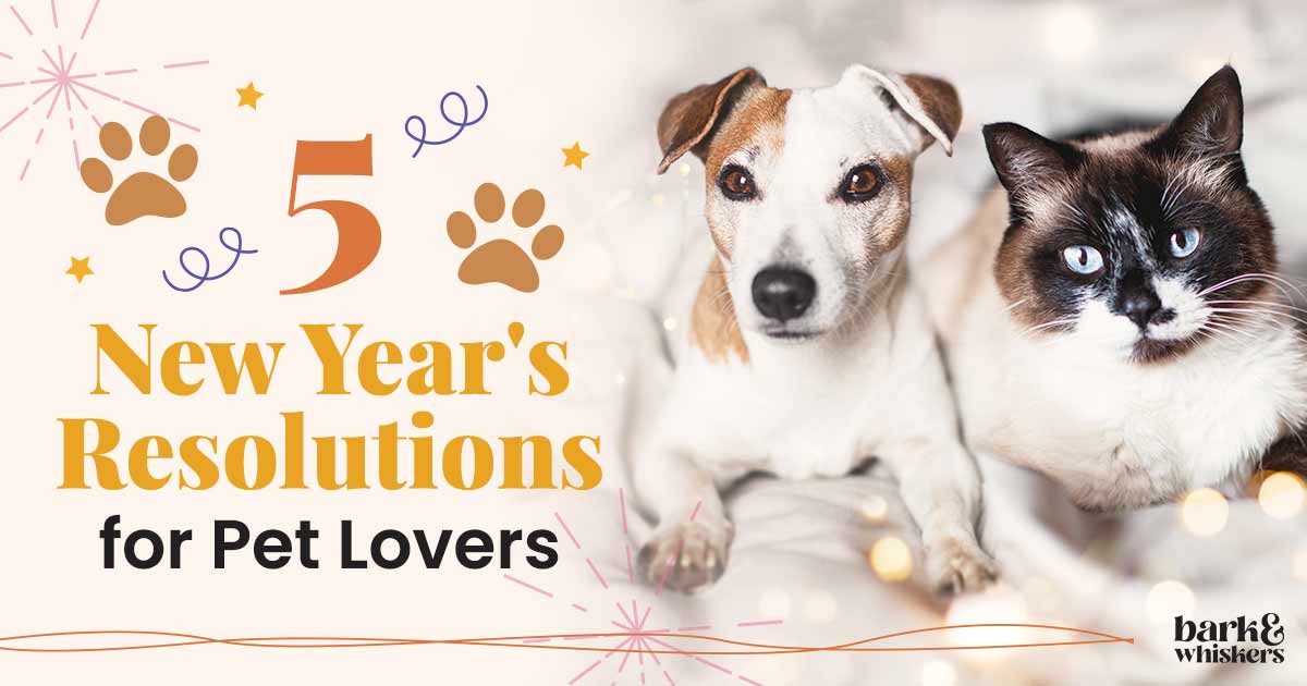 New Year's Resolutions for Pet Lovers