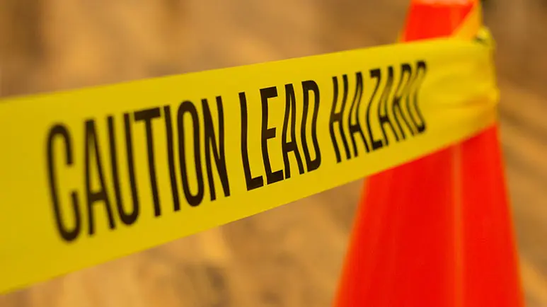 Dangers of Lead Poisoning in Animals