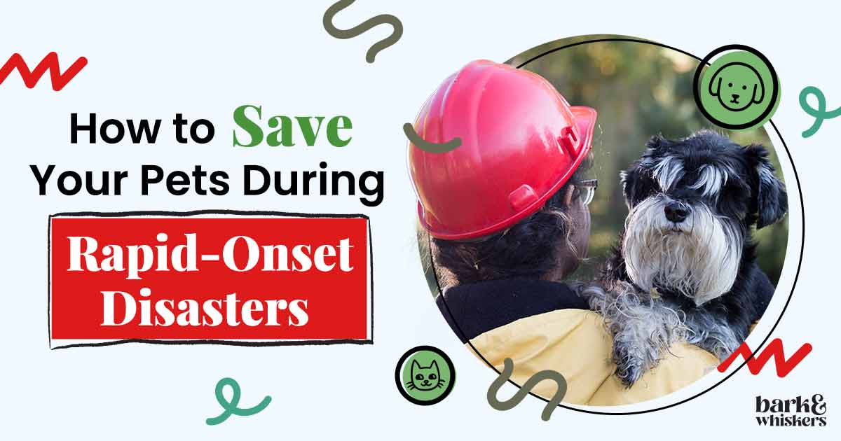 Saving Pets During Rapid-Onset Disasters