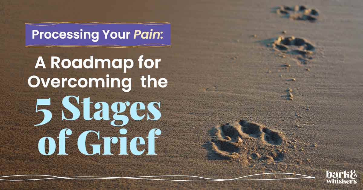 Processing Your Pain: A Roadmap for the 5 Stages of Grief