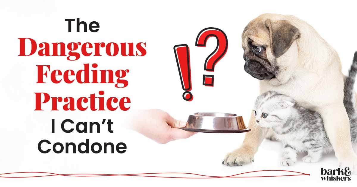 Feeding Dogs Plant-Based Diets