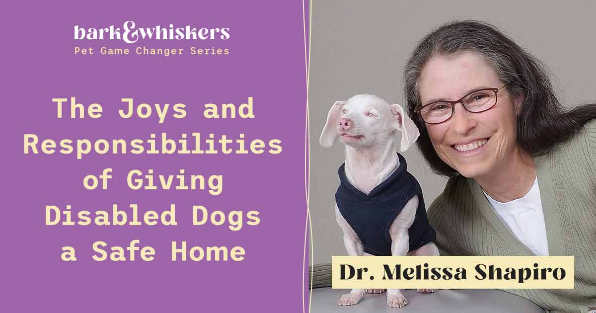 Empowering Special Needs Paws for a Brighter Tomorrow