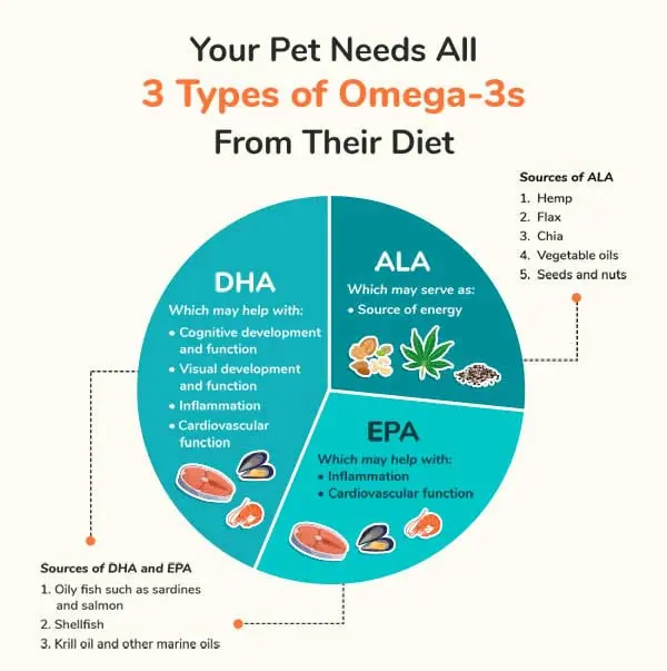 Omega-3s for Pets: The Superstars of Functional Fats