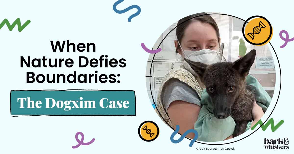 The Dogxim Case: The First Verified Dog-Fox Hybrid to Exist