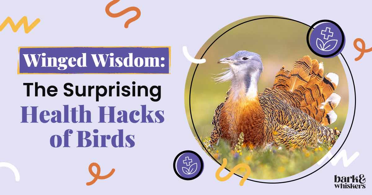 Wild Birds Select Plants for Their Medicinal Properties