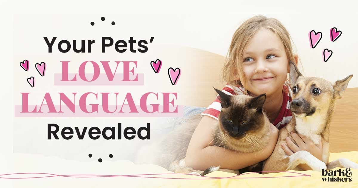 Count the Ways Your Pet Loves You