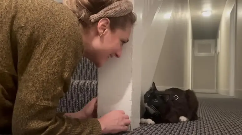 Rescue Cat Is 'The Most Unique Soul I've Ever Met'