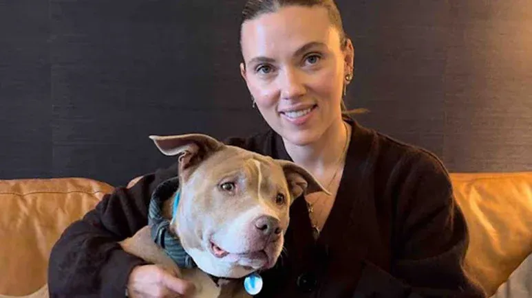 Scarlett Johansson's Dodo Dream Date With Pittie Named Ocean