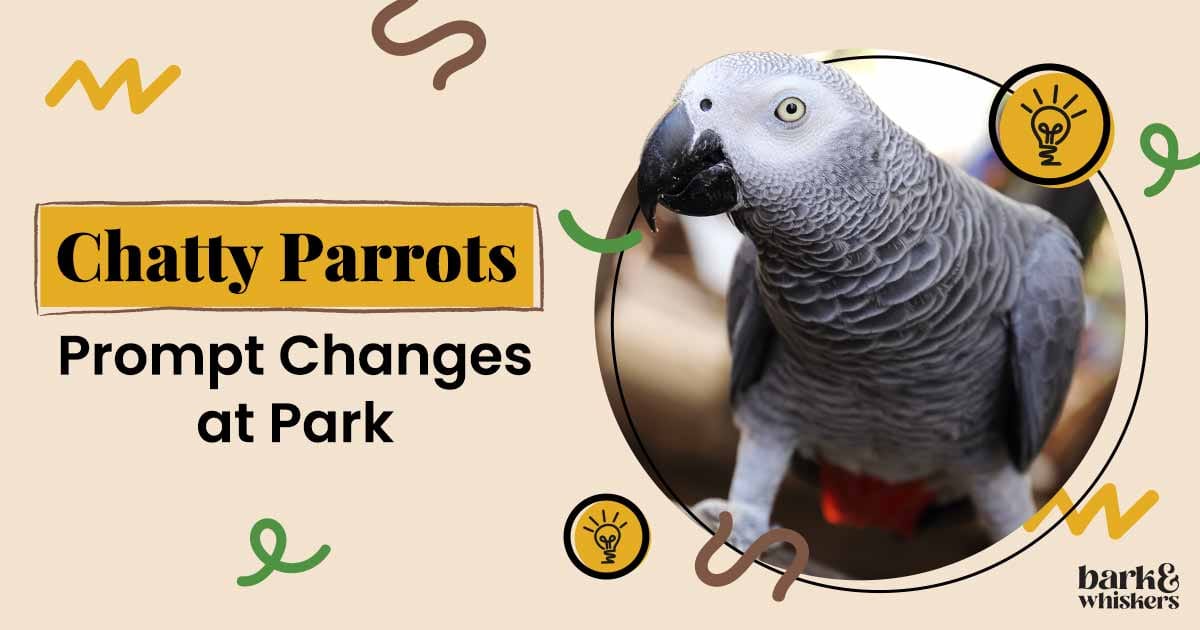 Potty-Mouthed African Gray Parrots Go Viral