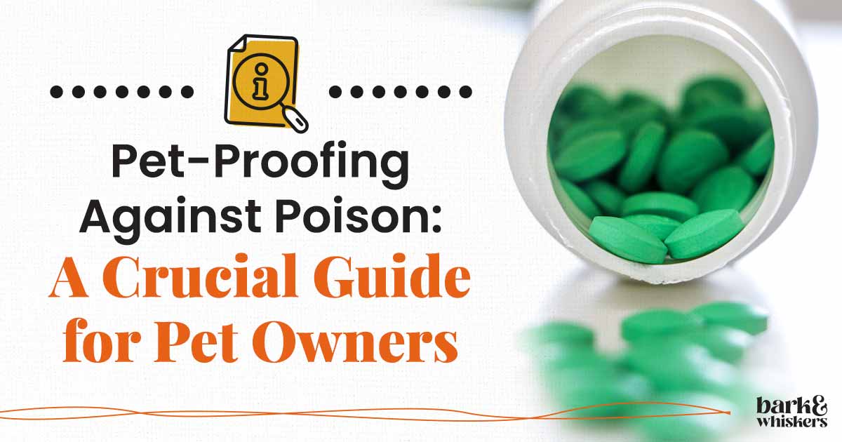 Check Your Home for These Common Pet Poisons