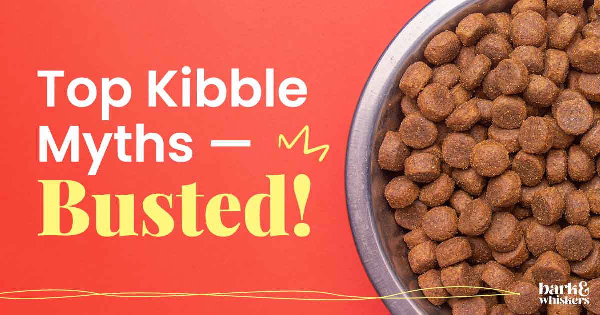 Top Kibble Myths - Busted