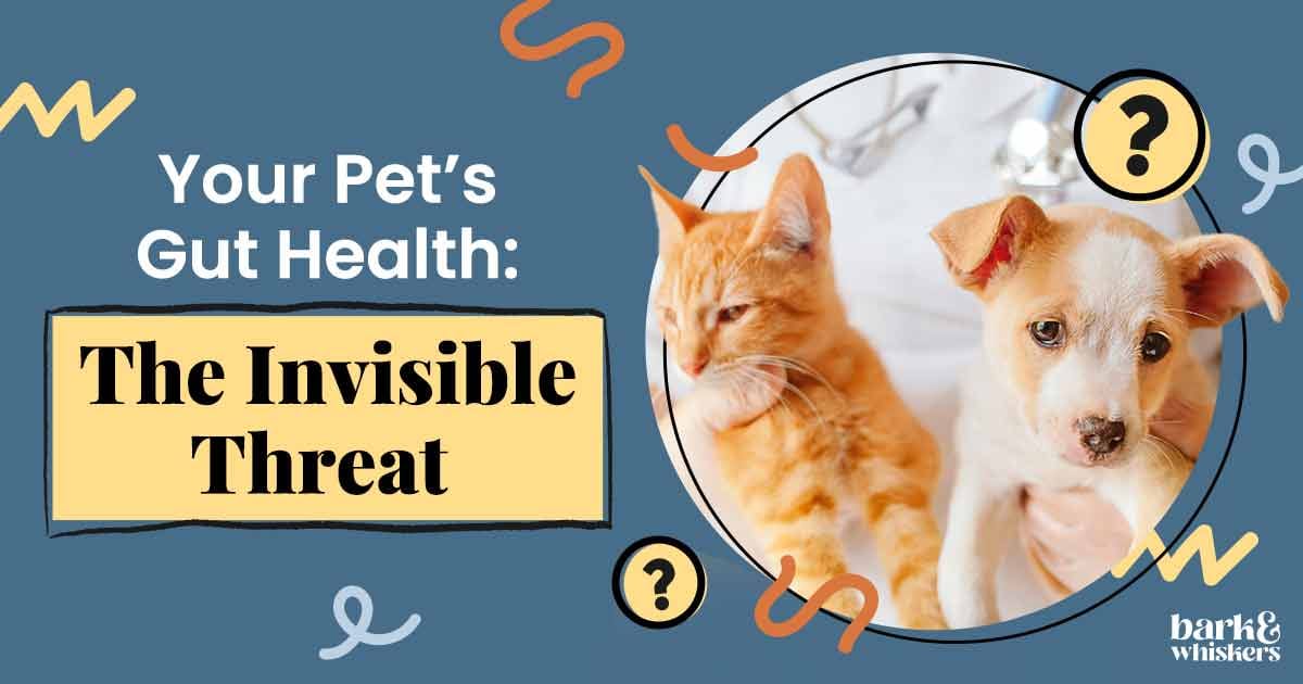 Dysbiosis in Dogs and Cats