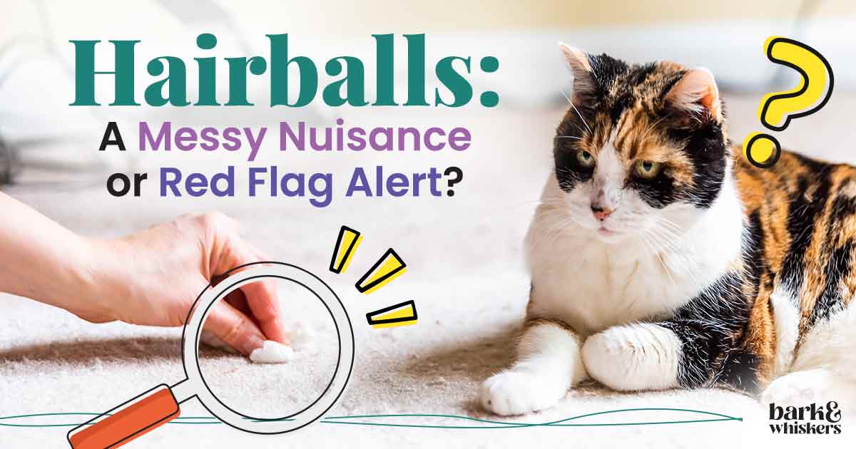 Cat Hairballs: Understanding, Preventing, and Treating