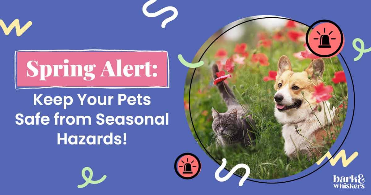 Springtime Plants Toxic to Pets