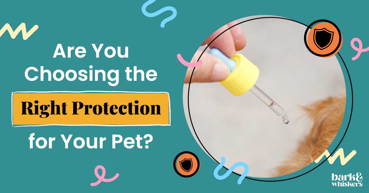 All-Natural Pest Deterrent for Pets