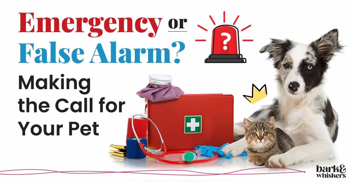 Signs of a Pet Emergency