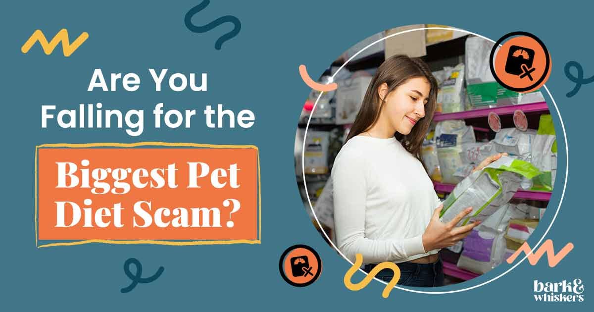 Prescription Pet Diets Ranked Least Effective for Therapy