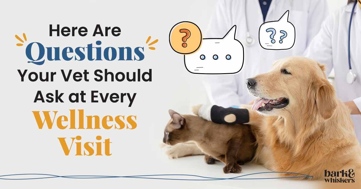 23 Questions Your Vet Should Ask at Every Wellness Visit