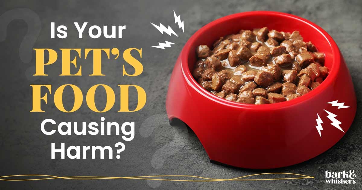 Numerous Undeclared Ingredients Found in Pet Food