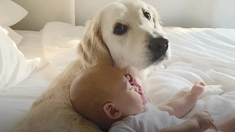 Puppy Love: A Bond From Day One