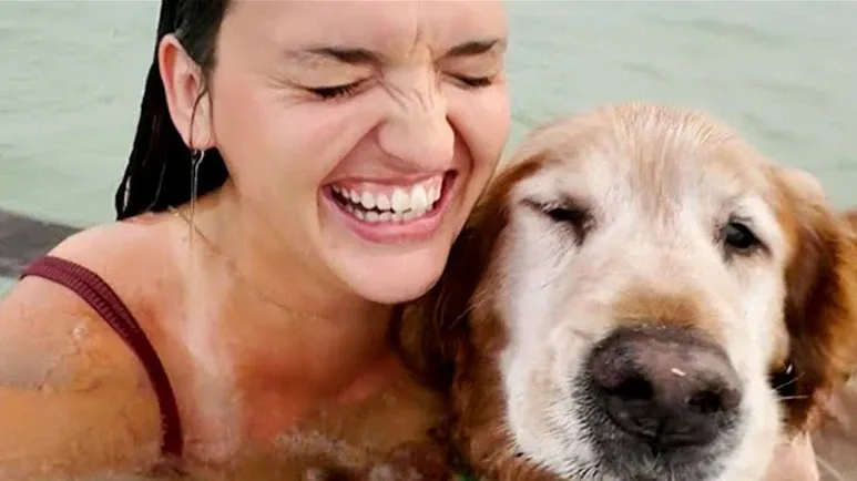 Senior Dog's Joy Ride