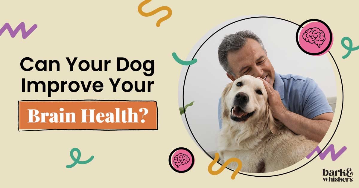 Can Your Dog Improve Your Brain Health?