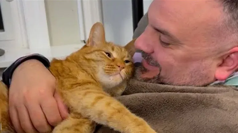 Cheddar: The Velcro Cat Who Loves Deeply