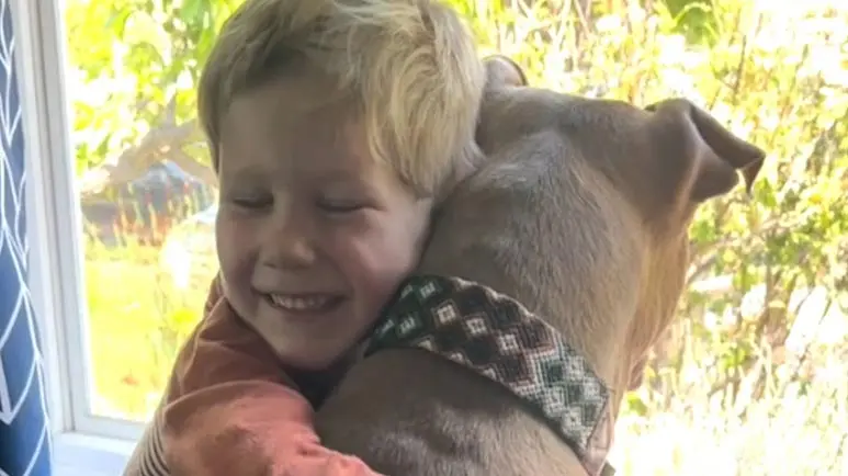 Magical Bond: Boy and His Dog