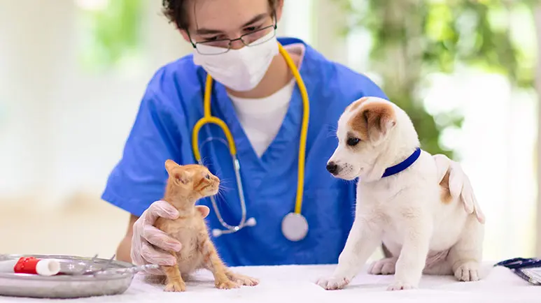 These Must-Have Veterinary Tests Could Save Your Pet's Life