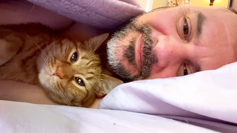 Cheddar - The Ultimate Velcro Cat