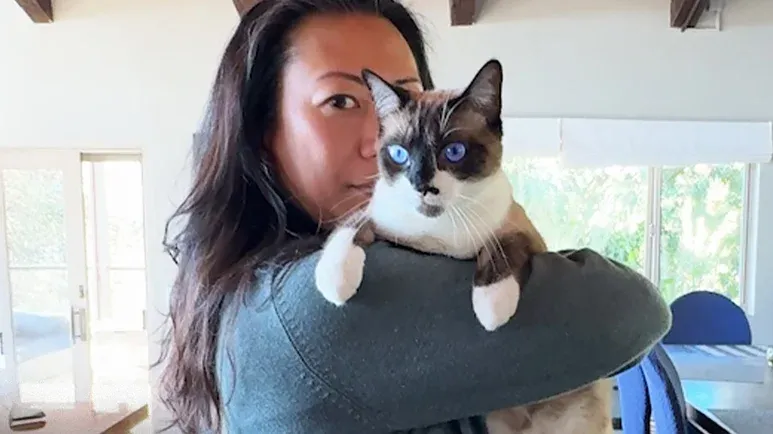 Walter - The Foster Dad Cat