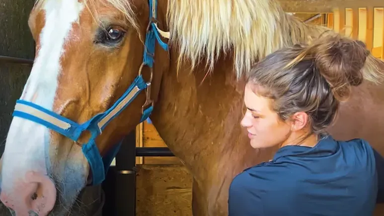 A New Start for Heavy Hooves