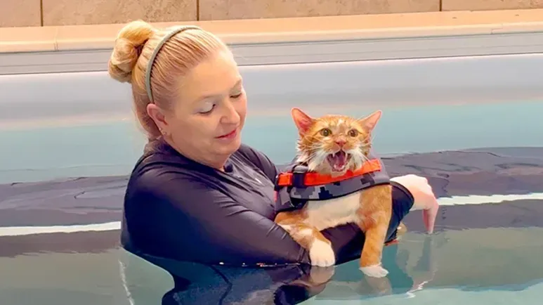 Ty's Big Transformation