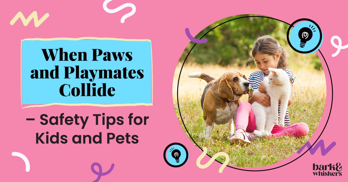 When Paws and Playmates Collide - Safety Tips for Kids and Pets