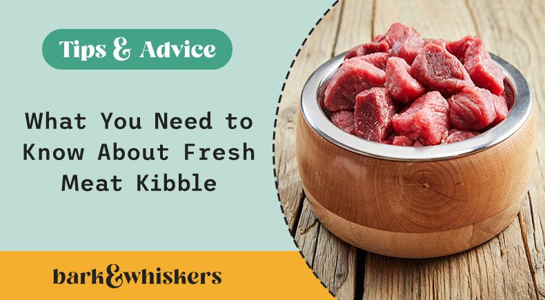 What You Need to Know About Fresh Meat Kibble in Pet Food