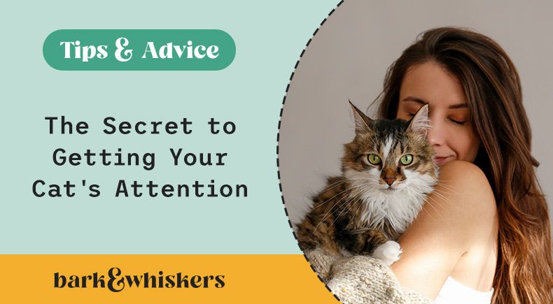 The Secret to Getting Your Cat's Attention