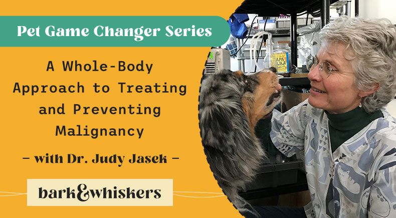 A Whole-Body Approach to Treating and Preventing Malignancy